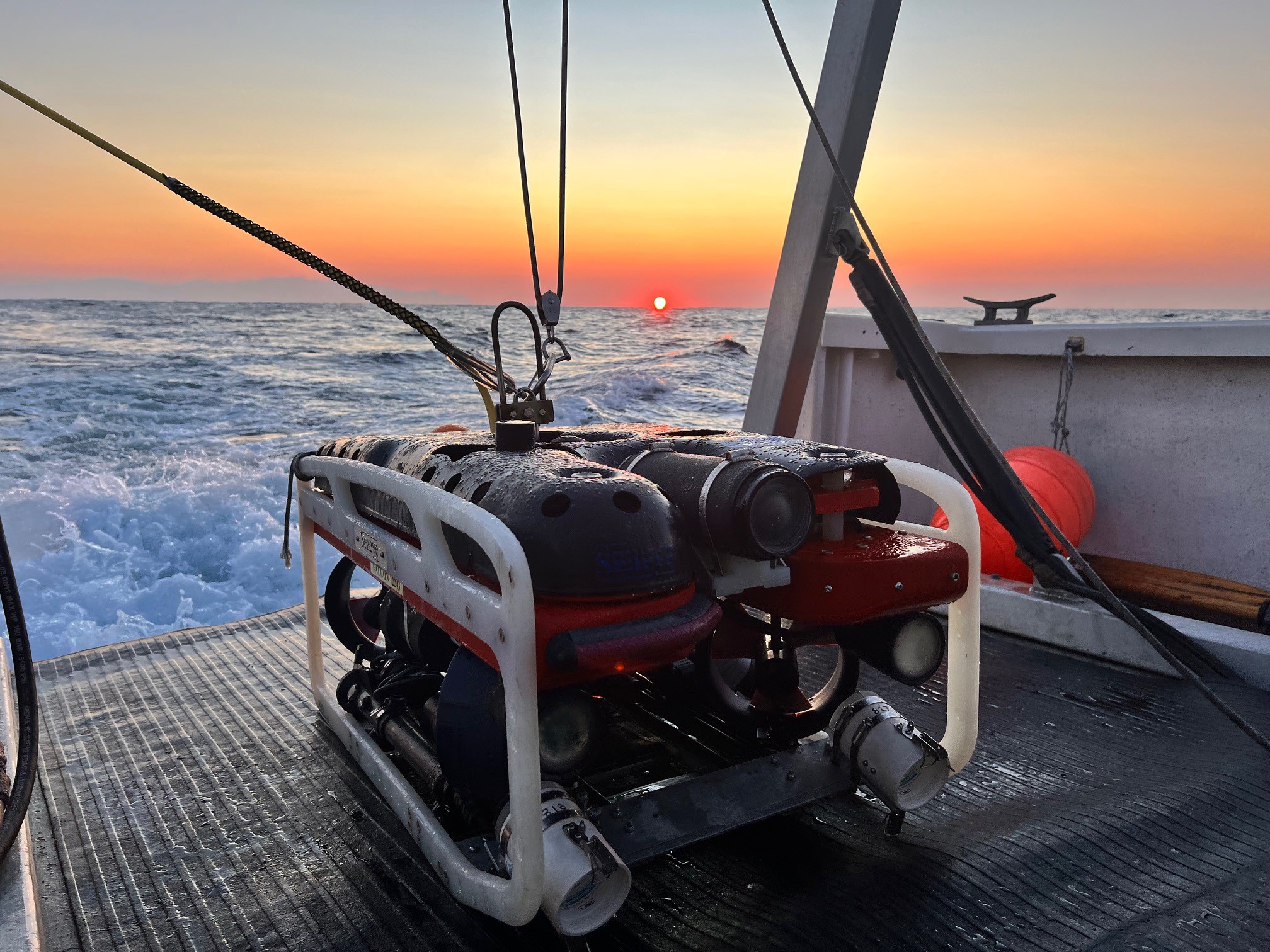 Dive into the incredible reef ecosystems of Storm Bay ...